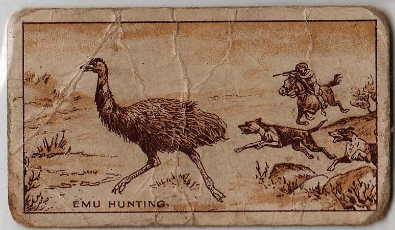 Pre-War Card Collector - Sets - 1916 MacRobertson's